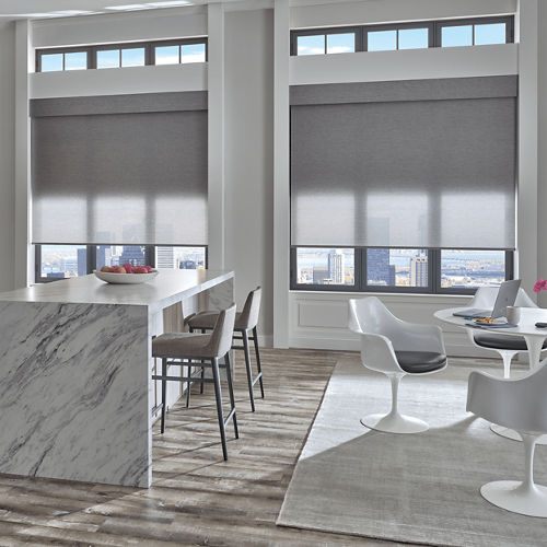 Roller Shades & Roller Window Treatments