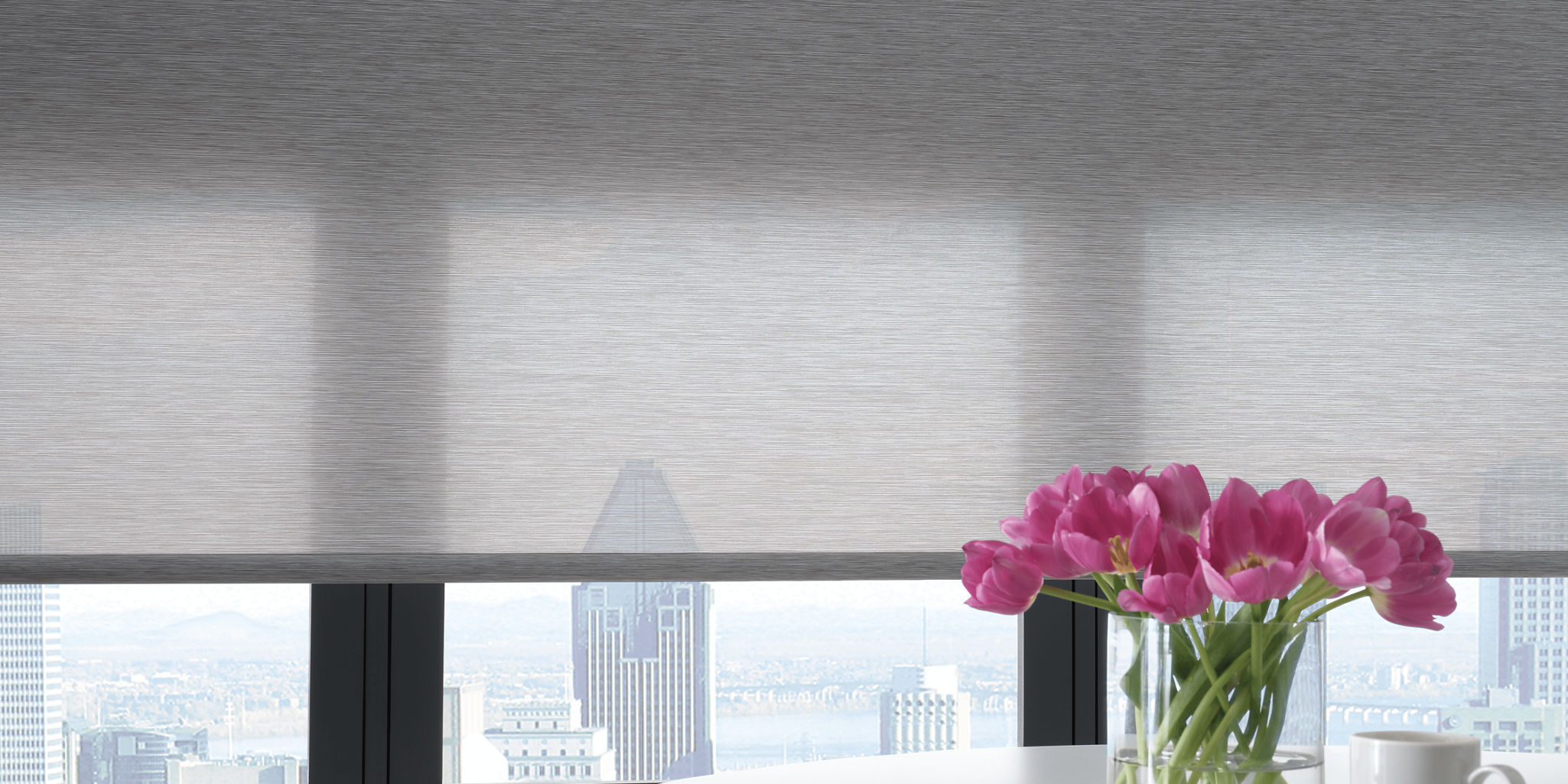Roller Shades & Roller Window Treatments